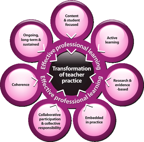 Syba Signs - Professional Learning Journey